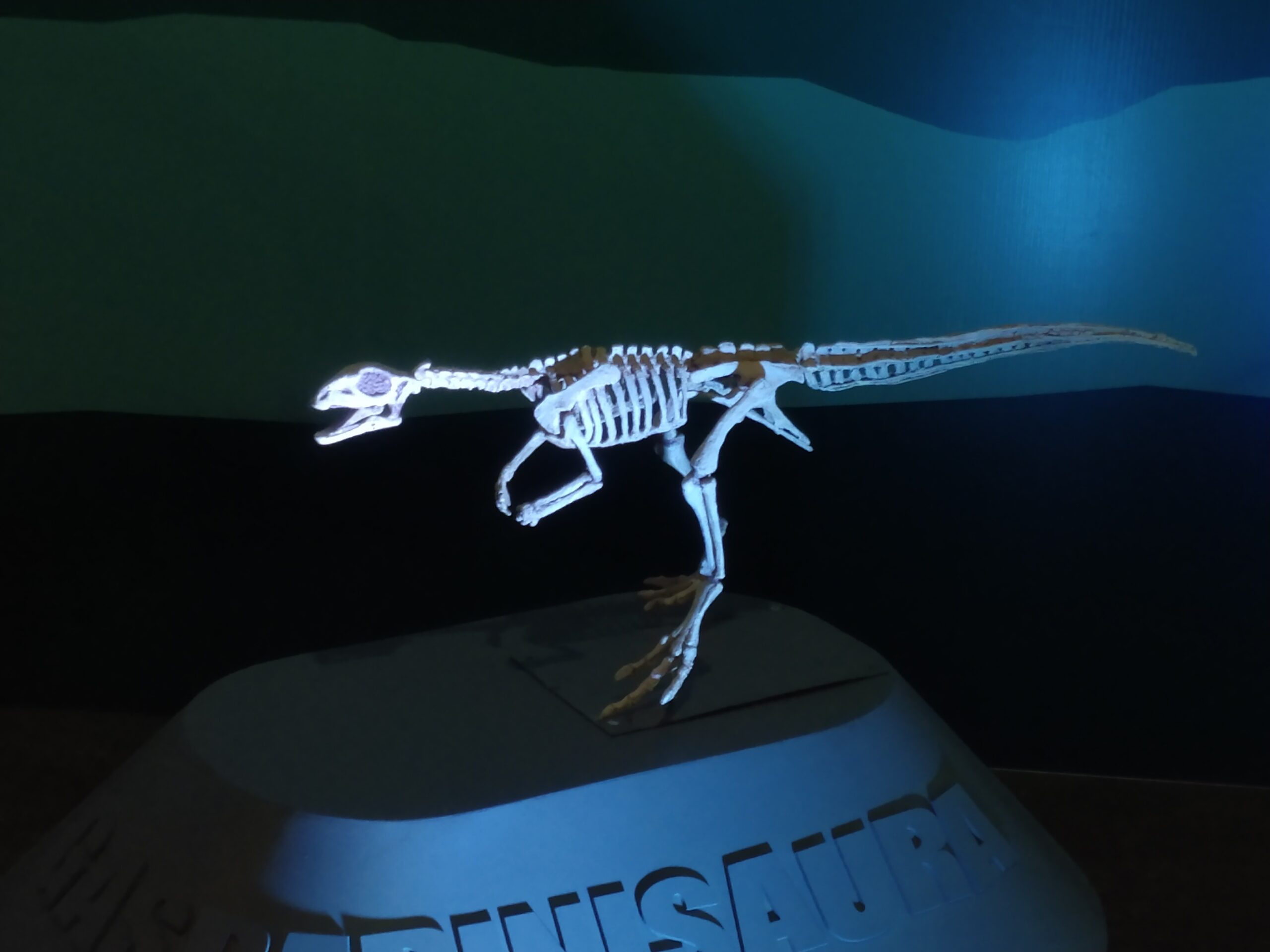 Secretos de la tafonomía del fósil Gasparinisaura: mirando al pasado