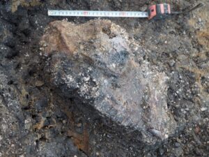 Desecación: clave para investigación paleontológica y arqueológica